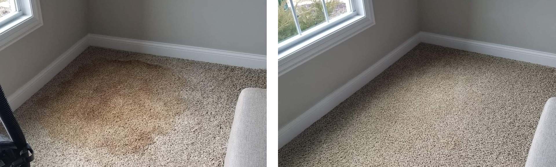 Before & After Cleaning Gallery - Great Guys Cleaning